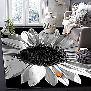 Aomike Indoor Area Rug Doormat- Sunflower in Black and White Ladybug and Flower Contemporary Rug for Living Room/Bedroom/Front Porch/Hallway/Farmhouse, 2'7"x5'