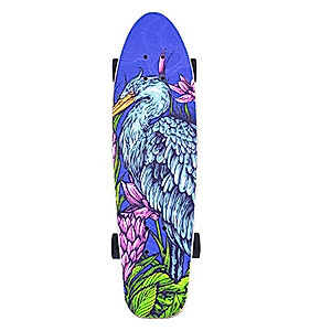 SKOCHO Complete-Standard Cruiser-Skateboards for Teens Adults-Beginners - 28"x8" Mini Short Skateboard Deck(Carne)