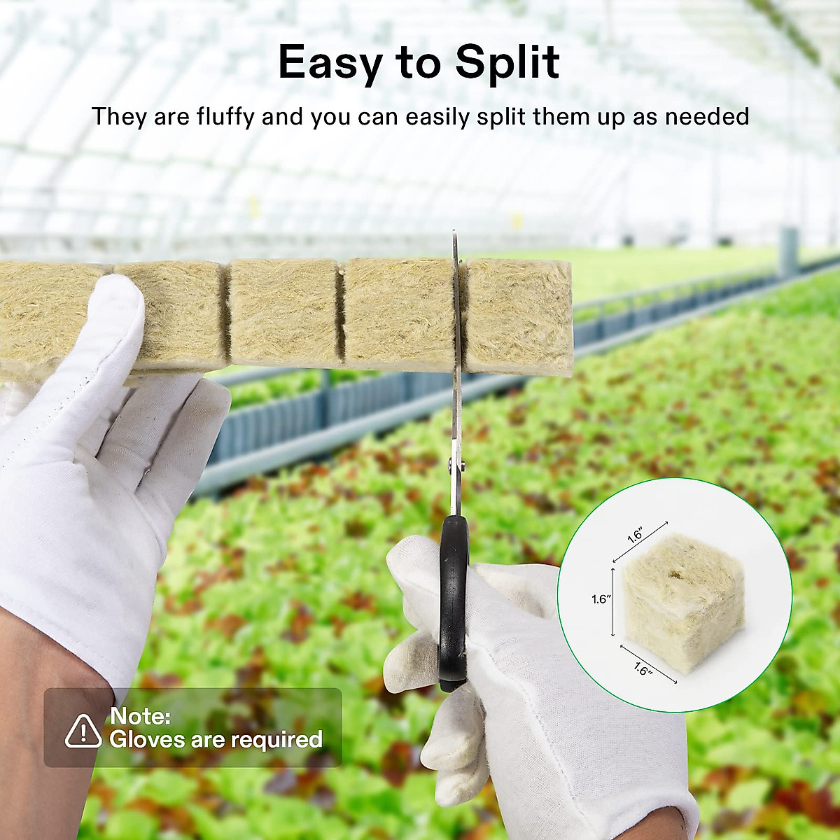 VIVOSUN 1.6" Rockwool Cubes, 28 Plugs Stonewool Starter Grow Cubes for Cuttings, Cloning, Plant Propagation, Seed Starting, Hydroponic Grow Media for Vigorous Plant Growth, 1 Sheets of 28 Plugs