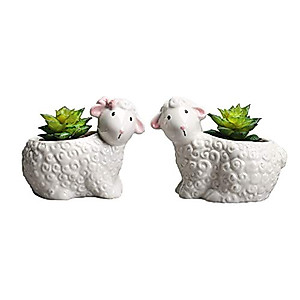 Cabilock Cactus Pot 2pcs Ceramic s Decorative Flowerpot Sheep Plants Decorative Succulent Pot Plant Flower Pot Small White Flowers Indoor Ceramic Bonsai Pots