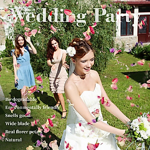 52 Pack Biodegradable Confetti, Dried Flower Petals, Real Pink Rose Petals for Weddings, Flower Girl, Valentine's Day, Wedding Send Off Ideas, Flower Girl Dinner Table Centerpieces