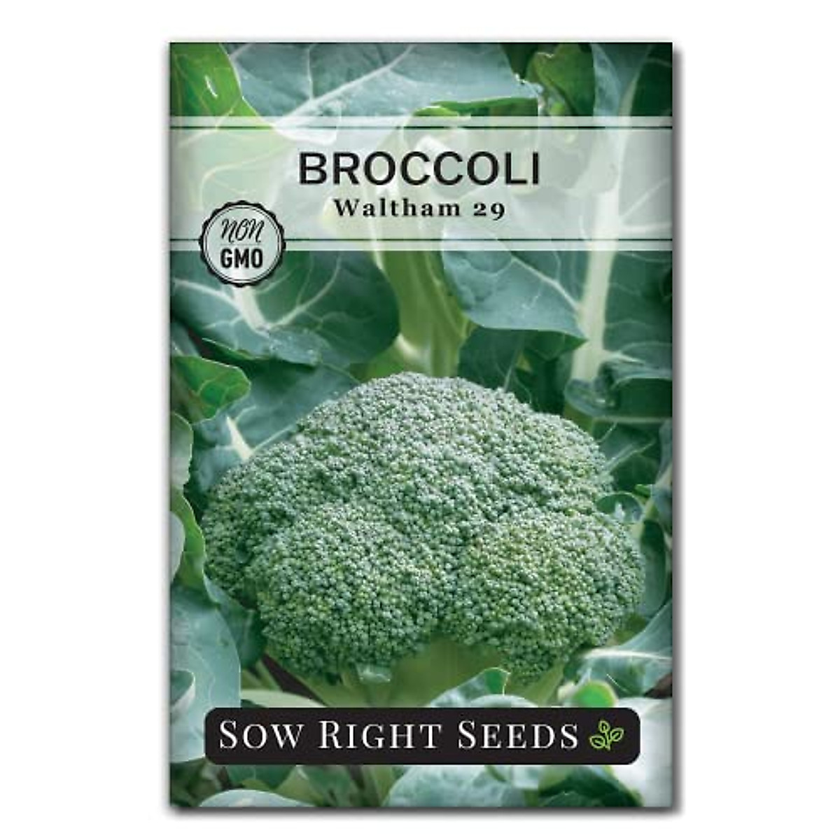 Sow Right Seeds - Spring Vegetable Seeds Collection for Planting - Individual Packets Basil, Broccoli, Carrot, Onion, Cauliflower, and Peas, Non-GMO Heirloom Seeds to Plant an Outdoor Home Garden