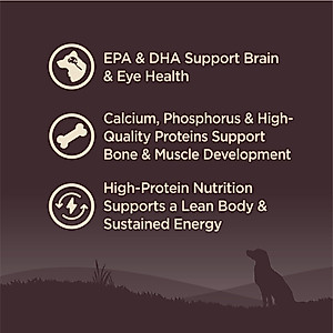 Wellness CORE Natural Grain Free Dry Dog Food, Puppy, 4-Pound Bag