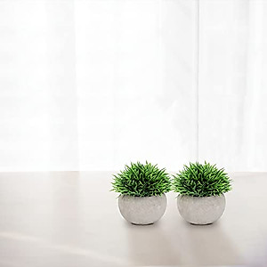 THE BLOOM TIMES 2 Pcs Fake Plants for Bathroom/Home Office Decor, Small Artificial Faux Greenery for House Decorations (Potted Plants)
