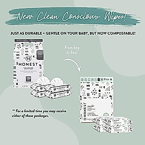 The Honest Company Clean Conscious Wipes | 99% Water, Compostable, Plant-Based, Baby Wipes | Hypoallergenic, EWG Verified | Pattern Play, 288 Count