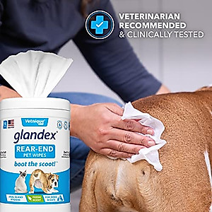 Vetnique Labs Glandex Dog Wipes for Pets Cleansing & Deodorizing Anal Gland Hygienic Wipe​s for Dogs & Cats with Vitamin E, Skin Conditioners and Aloe (75ct)