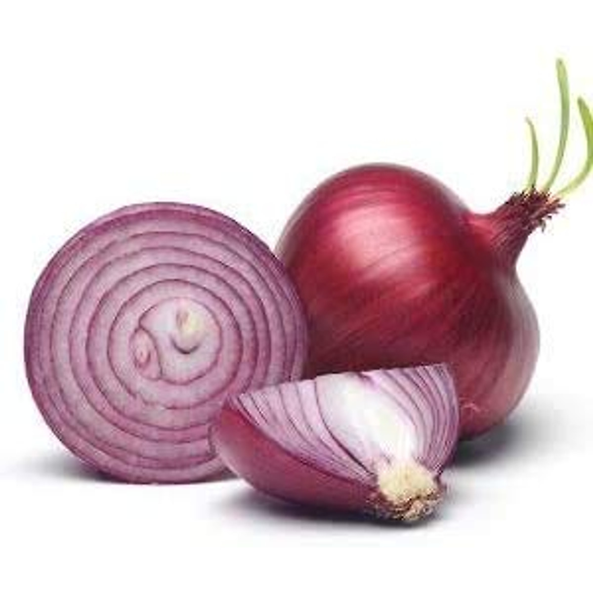 Red Shortday Burgundy Onion Seeds for Planting, 300+ Heirloom Seeds Per Packet, (Isla's Garden Seeds), Non GMO Seeds, Botanical Name: Allium cepa, Great Home Garden Gift