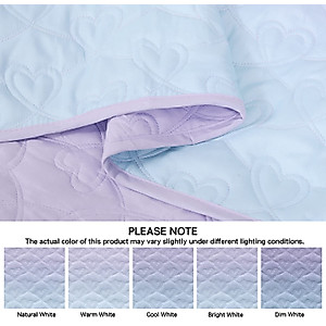 SCHNAUZER HOME Quilt Set Twin Size 2 Piece, Bailey Printed Bedding Coverlet Set, Lightweight Soft Reversible Bedspread Sets for All Season (1 Quilt & 1 Pillow Shams)