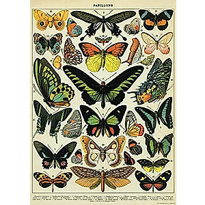 Decorative Wrap 20X28 Butterflies