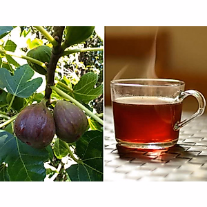 Yerbero - Fig Leaves Herbal Tea 2oz (58gr) Hoja De Higo Te | Ficus carica | Stand Up Resealable Bag Crafted By Nature100% All Natural Fresh Tea Tea | Non-GMO | From Mexico