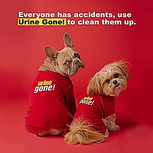 Urine Gone Stain & Odor Eliminator: Professional Strength Fast-Acting Enzyme-Based Solution, Instantly Penetrates and Neutralizes into the Fibers of a Carpet, Stops Pets from Remarking