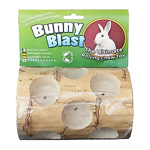 Bunny Blast Yucca Chew Toy