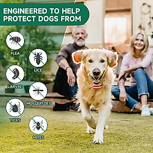 Woyamay 4 Pack Flea Collar for Dogs, Adjustable Flea and Tick Collar for Dogs, 32-Month Flea and Tick Prevention for Dogs, Dog Flea and Tick Collar, Water-Resistant Dog Flea Collars, Red & White