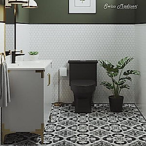 Voltaire One-Piece Elongated Toilet Dual-Flush 1.1/1.6 gpf in Matte Black