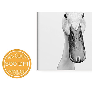 Black and White Cute Female Duck Portrait Print | Farm Animal Art For Children's Nursery | Rustic Farmhouse Duckling Kitchen Art | Country Home Wall Decor | 11x14 Ready to Frame | Bathroom Wall Art