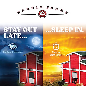 Manna Pro Harris Farms Automated Chicken Coop Door – Auto Door with Built-in Timer and Light - Flock Security System,White