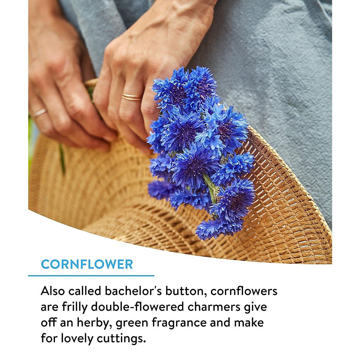 Burpee Wildflower 25,000 Bulk, 1 Bag 18 Varieties of Non-GMO Flower Seeds for Hummingbirds and Butterflies