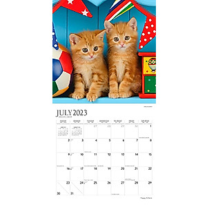 Happy Kittens | 2024 12 x 24 Inch 18 Months Monthly Square Wall Calendar | Foil Stamped Cover | July 2023 - December 2024 | Plato | Animals Cats Feline