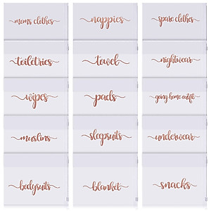 15 Pack Hospital Bags for Labor and Delivery 11 x 14 Inch Diaper Bag Organizing Pouches Resealable Maternity Hospital Bag Essentials Frosted Clear Plastic Bags for Packaging Product (Rose Gold Letter)