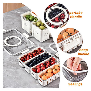 YFUIF Portable Fruit Storage Containers for Fridge, 4 Compartments Snack Box Container, BPA-Free Divided Serving Tray with Lid for Veggie, Clear Snack Tray Candy Tray (1, 4 Compartment-1 Pack)