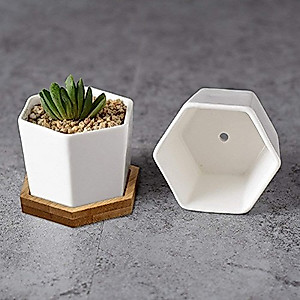 OAMCEG 6 Pack Succulent Plant Pots 2.75 inch Mini Succulent Planter, Set of 6 White Ceramic Succulent Cactus Planter Pots with Bamboo Tray (Plants NOT Included)