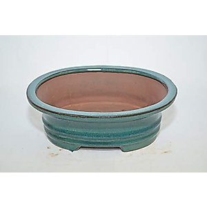 Bonsai Ceramic Pot 8" Teal Color, Oval Shape, Glazed with draining Holes.