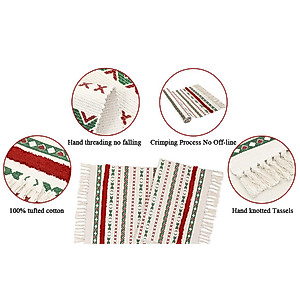 HiiARug Boho Decor Runner Rug 2'x4'4" Tufted Area Rug with Tassels Machine Washable Runner Rugs for Hallway Living Room Front Porch Patio Balcony Bedroom