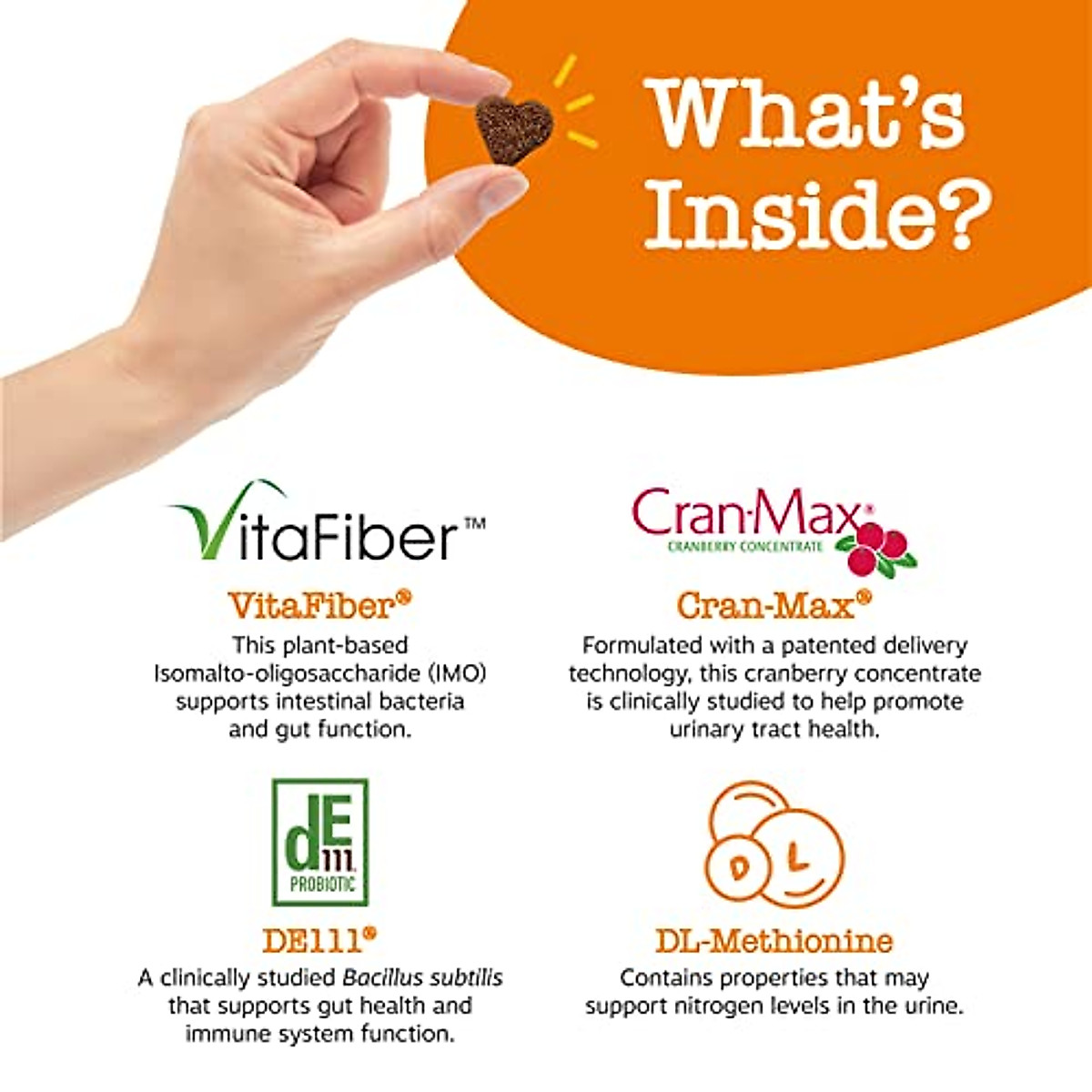 Zesty Paws Stay Green Bites for Dogs - Grass Burn Soft Chews for Lawn Spots Caused by Dog Urine - Cran-Max Cranberry for Urinary Tract & Bladder - with Apple Cider Vinegar + Digestive Enzymes - 90ct