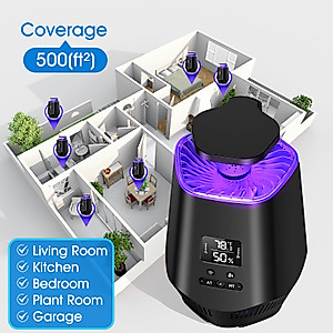 Fooxem Glue Board Refills for Fruit Fly Traps Indoor, Replacement Sticky Boards for Gnats Moths Mosquitos Pest Control, 10 Pack