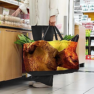 KQNZT Reusable Grocery Bags, Large Foldable Reusable Shopping Tote Bags Bulk for Groceries, Waterproof Kitchen Cloth Produce Bags with Long Handles, Animal Llama