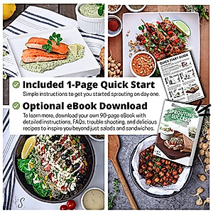 Sun & Sprouts Complete Sprouting Kit - 2 Large Wide-Mouth Mason Jars, Premium Screen lids, Blackout Sleeves, Tray and sprouter Stand - for Growing Broccoli, Mung Bean, Alfalfa Sprout from Seed