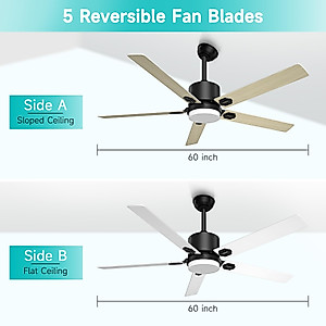BECLOG 60" Ceiling Fan with Light, Ceiling Fans Indoor Outdoor with Remote Ceiling Fan DC Motor with Lights LED for Patios, Bedroom, Farmhouse, Dining Room, Kitchen, Living Room