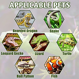 kathson Reptile Tank Decor Lizard Hide and Cave Plants Terrarium Decorations Resin Cactus Desert Aquarium Tank Habitat Accessories for Bearded Dragon Chameleon Leopard Gecko Snake Fish (Cactus)