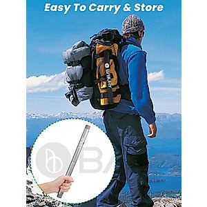 BIBURY Folding Hand Saw Outdoor Survival Tools, Portable Folding Wood Saw with 2pcs Replaceable 12.4” Blade & Buckle Cloth Bag, Aluminium Alloy Camping Pruning Tree Hand Saw for Gardening