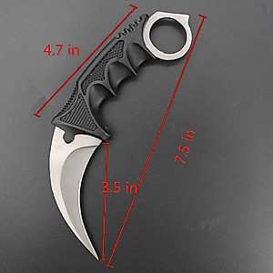 Karambit Knife, Set of 2, CS-GO for Hunting Camping Fishing and Field Survival, Stainless Steel Fixed Blade Tactical Knife with Sheath and Cord (Silver + Purple Dark).