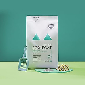 Boxie® Gently Scented 30 Day Natural Odor Control Cat Litter, 16lb Clumping Clay Kitty Litter