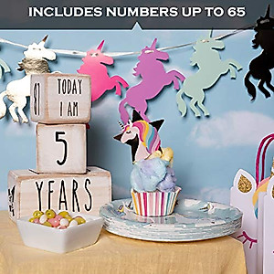 Baby Monthly Milestone Blocks Baby Girls Boy USA Certified Safe Month Baby Milestone Blocks, Rae Dunn Inspired Age Baby Month Baby Props, Best Baby Gifts Baby Shower, Baby Photo Props Photoshoots