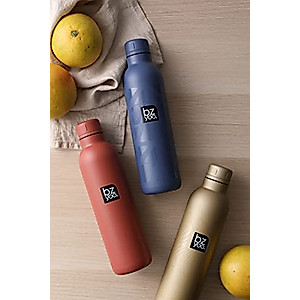 bzyoo H2GO Double Wall Vacuum Insulated 18/8 Stainless Steel Reusable 17oz Leak-Proof Thermal Travel Water Coffee Bottle for Gym Hiking Cycling Gifts Wellness (Terracotta)