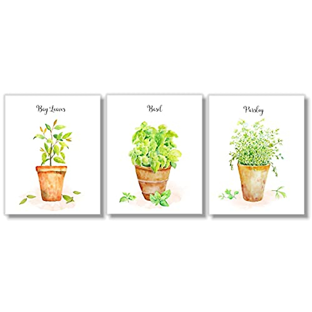 Kitchen Wall Art - Herbs Prints in Pots (Set of 7) - Farmhouse Decor - Unframed Botanical Prints (5x7)