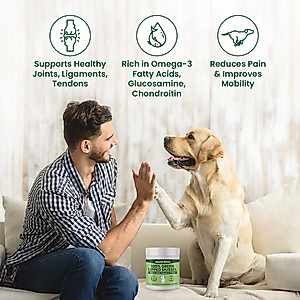 Special Breed Green Lipped Mussels for Dogs & Cats - Premium Joint Supplement Powder for HIPS, Joints, and Muscles (300 Grams, Up to 1,000 Servings)