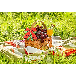 Hying 2 Rolls Summer Watermelon Ribbons Wired for Wreath Bows Wrapping Gifts, Fruit Watermelon Green Plaid Ribbon for Gift Wrapping Birthday Party Decoration Crafts 2.5" X 10 Yards Wired Edge Ribbon