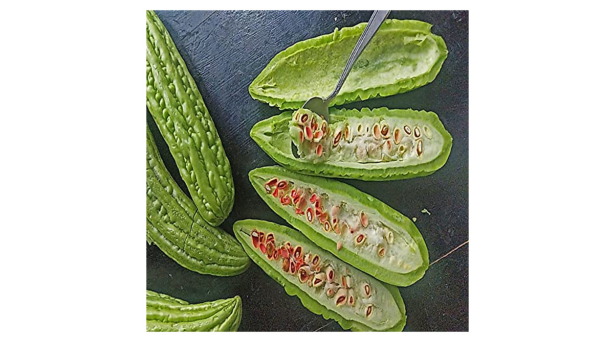 30 Bitter Gourd, Chinese Bitter Gourd, Calabaza Amarga, Bitter Cucumber ...