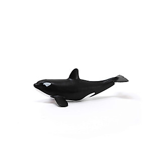 Schleich Wild Life, Ocean and Marine Life Toy Animals for Kids, Baby Orca Whale Toy Figurine, Ages 3+