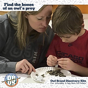 20 Small Barn Owl Pellet Dissection Kit with Paddle Pick & Bone Charts