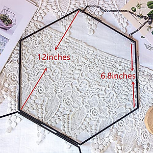 NCYP Side Length 6.8 inches Large Hanging Black Hexagon Herbarium Brass Glass Frame for Pressed Dried Flowers, Poster, Double Glass, Floating Frame Style, Glass Frame Only