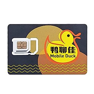 China SIM Card 30 Days Share 9Gb Data Usage Then Unlimited Plug to go
