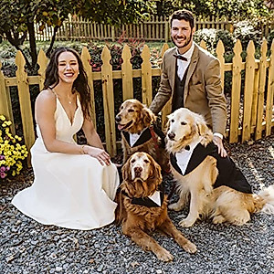 Dog Tuxedo and Bandana Set, 2 Pack Pet Costume Puppy Formal Party Suit, Dog Clothes for Small Medium Large Dogs, Dog Prince Bow Tie Shirt Dog Wedding Attire for Golden Retriever Samo Bulldogs (L)