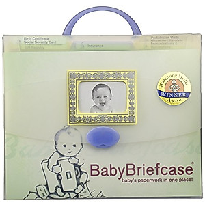 Baby Briefcase Baby Paperwork Organizer, Mint/Periwinkle