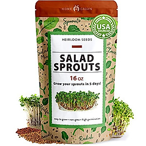 Sprouts and Microgreens Seeds Bulk Mix (16oz): Broccoli, Alfalfa, Radish, Clover Seeds for Sprouting - Grow Healthy Non-GMO Micro Greens - Sprout Seeds Variety Pack - Even Spread of Varieties