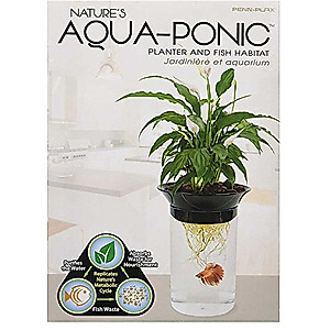 Penn-Plax (APON1) Aquaponic Planter and Aquarium for Betta Fish Tank Promotes Healthy Hydroponic Environment for Plants and Fish